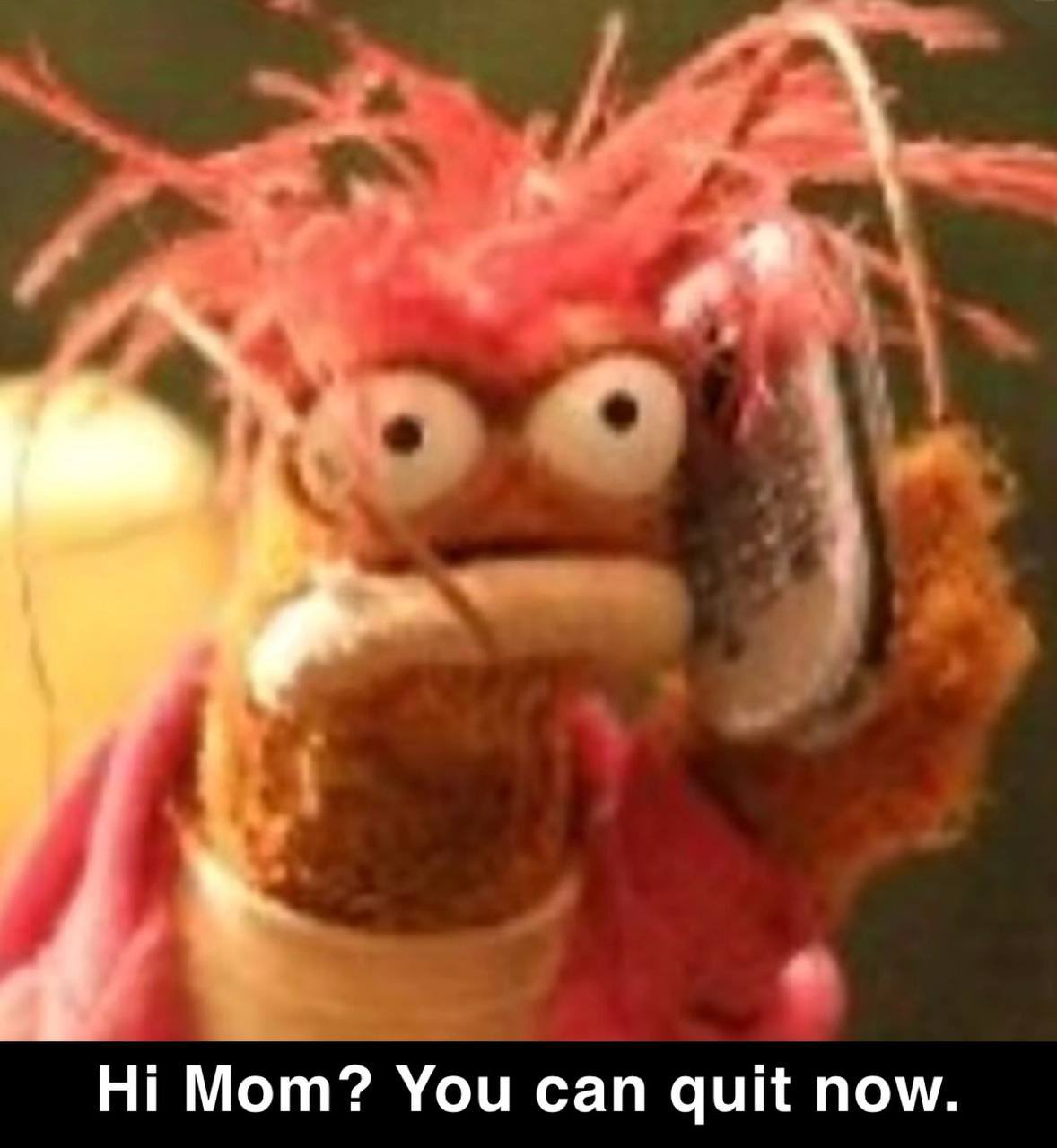 Pepe Muppets Quotes Weekly Muppet Wednesdays: Pepe The King Prawn