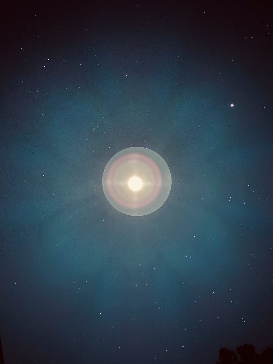 ねここ🐱 東エ42b NECOSMO(@necosmo) - Twilog (ツイログ)