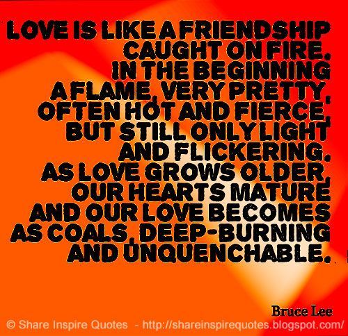 Fierce Friendship Quotes 18 Female Friendships In Young Adult Books