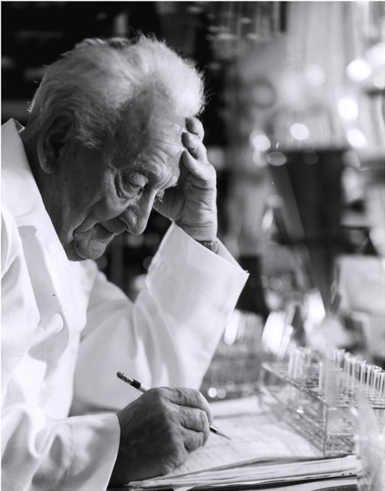 Vitalholis's Threads – Thread Reader App