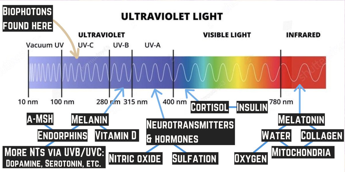 The 80/20 formula for: • Youthful, glowing skin • Fewer fine lines ...
