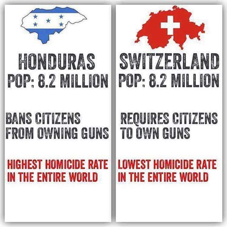 Switzerland Gun Memes