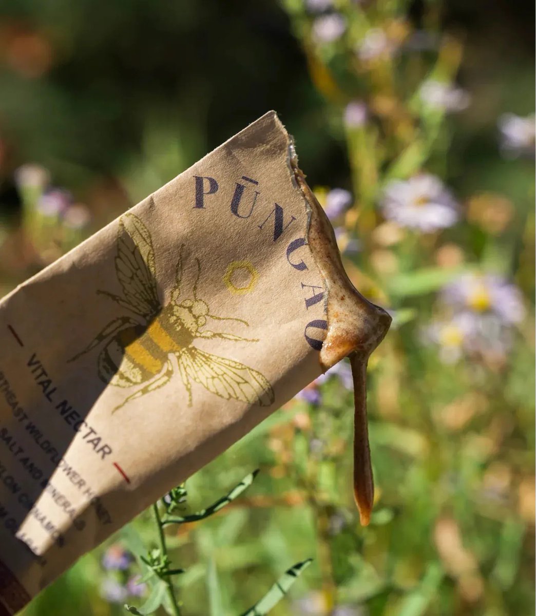 Thread by @Mitopapi on Thread Reader App – Thread Reader App