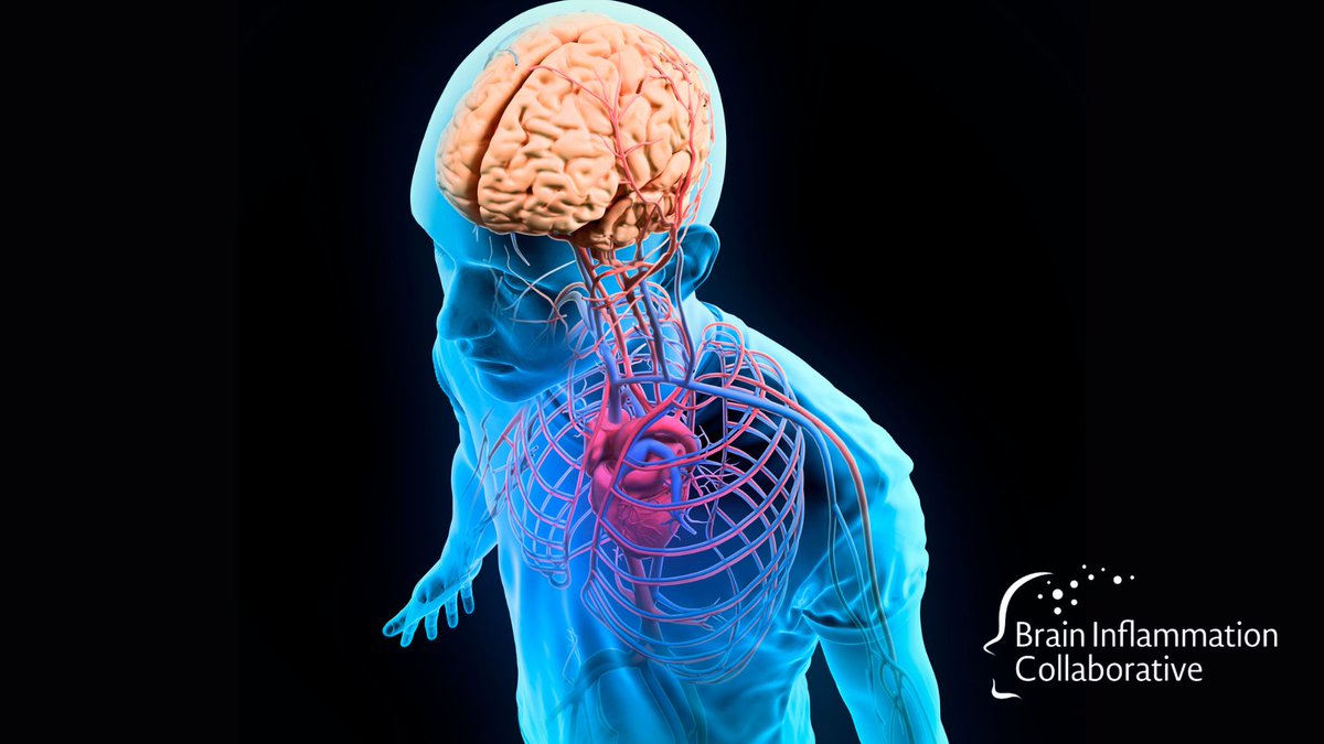Brain Inflammation Collaborative's Threads – Thread Reader App
