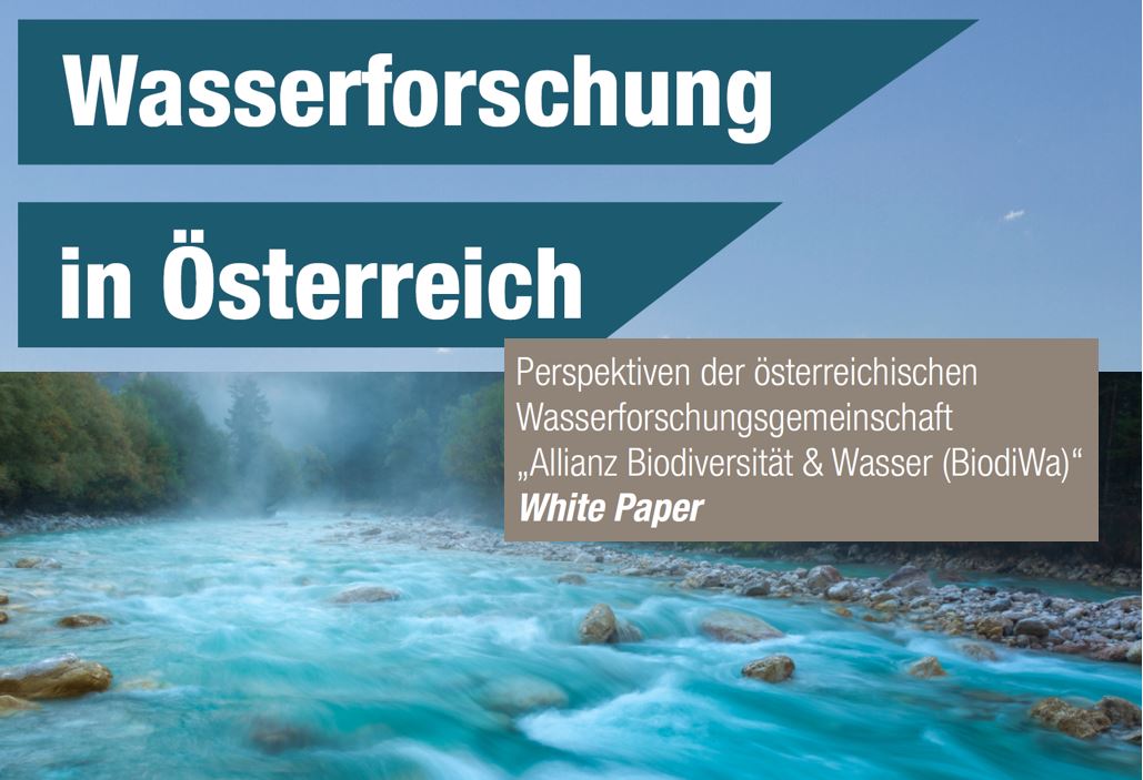 Astrid Schmidt-Kloiber @schmidtkloiber X Profile | Muskviewer