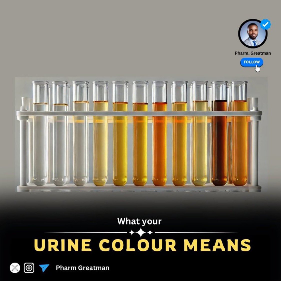 Dilute Urine Color What Does Your Dogs Urine Color Mean