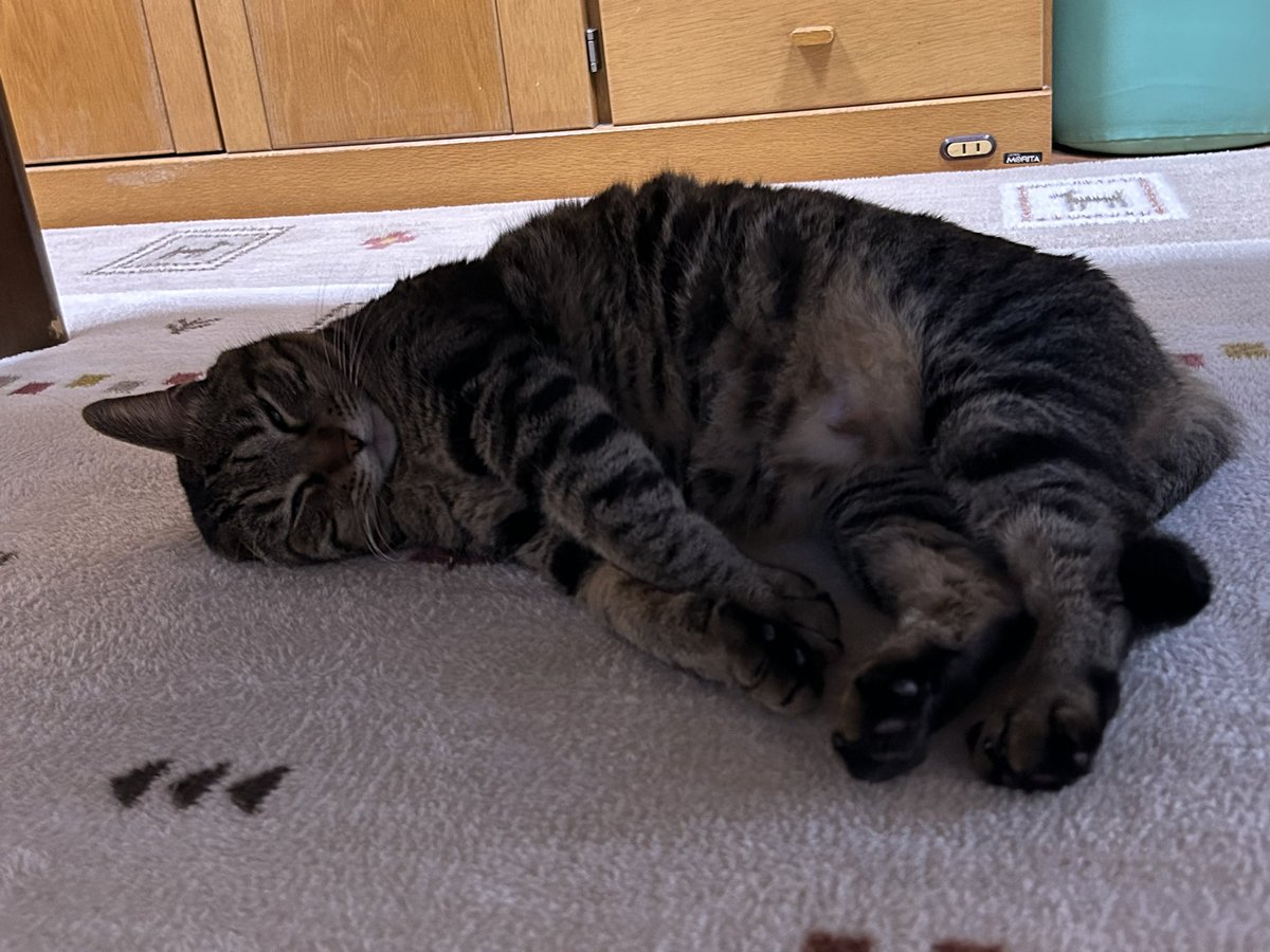 みなと🍩🐻(@mymt_m) - Twilog (ツイログ)