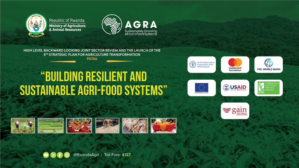 Rwanda Agriculture Board Logo SOLYNTA AND RWANDA AGRICULTURE BOARD