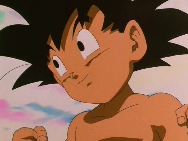 Goku No Shirt Back