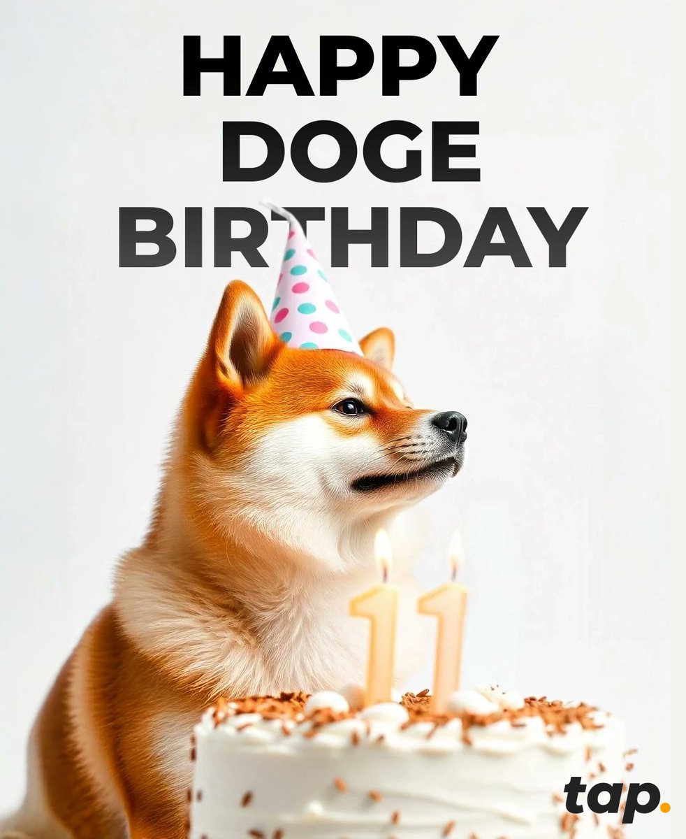 Meme De Aniversario Do Doge