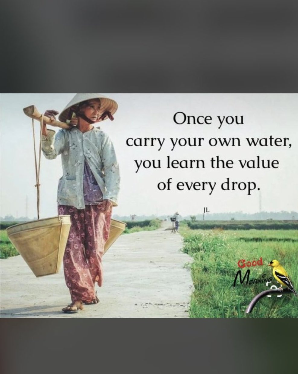 Value Of Water Quotes 43 Water Quotes & Hydration Sayings About The