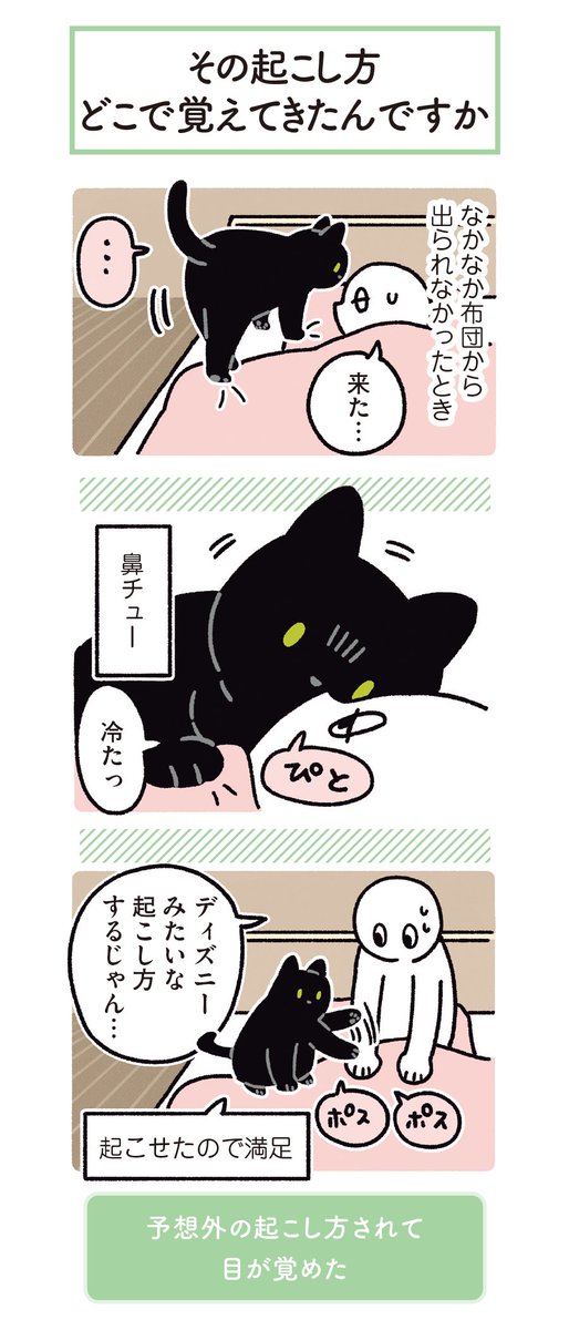 「🌱13/13 」AKR@6巻でましたの漫画