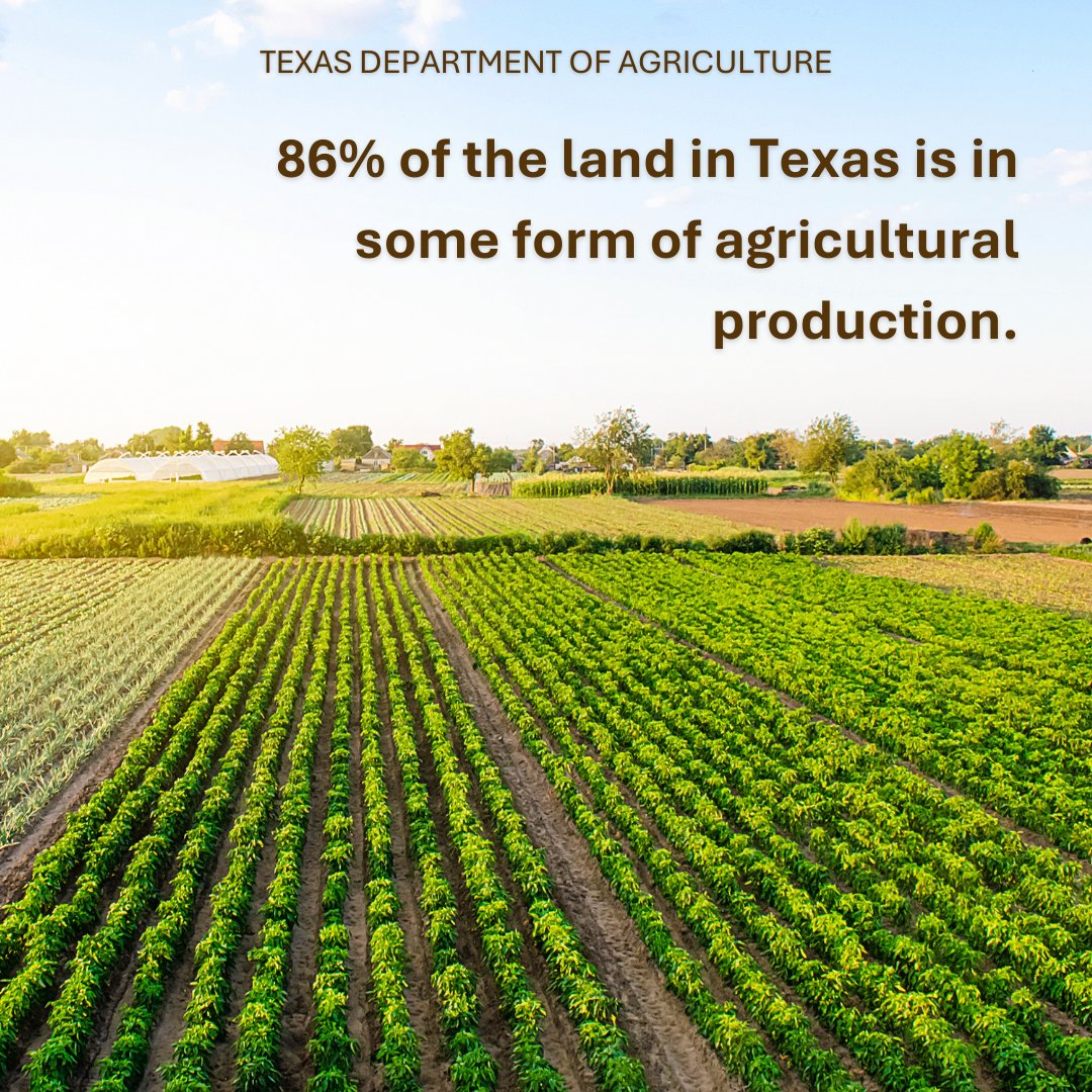 Types Of Crops In Texas Farm To Lunch Tray: How Central Texas Food