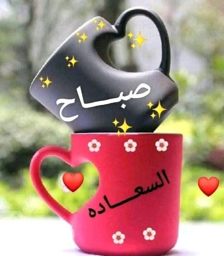 الكبير اوي اوي (@ty_salm63681) / Posts / X