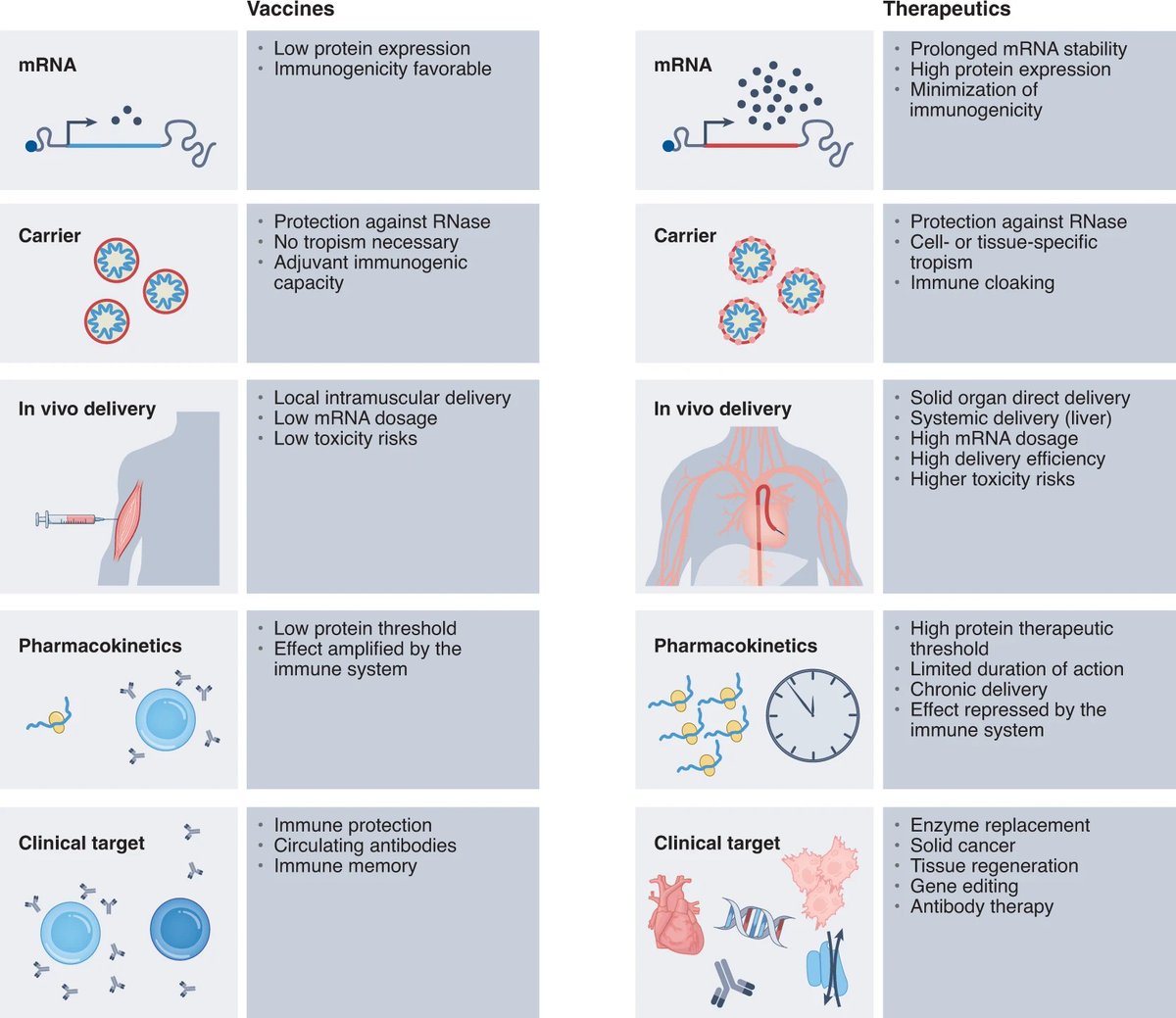 🧵 Learning Basics: DNA and RNA 🧬 What are the applications of mRNA? 🔖 ...
