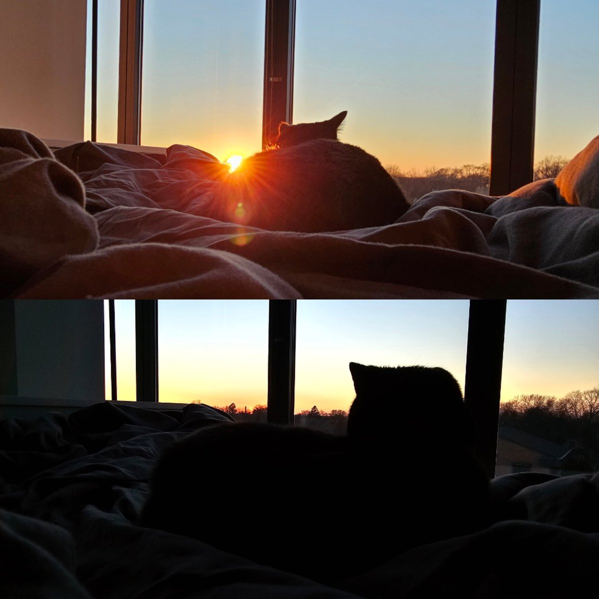 Jennifer Fowlie (@jennifer_fowlie) / Posts / X