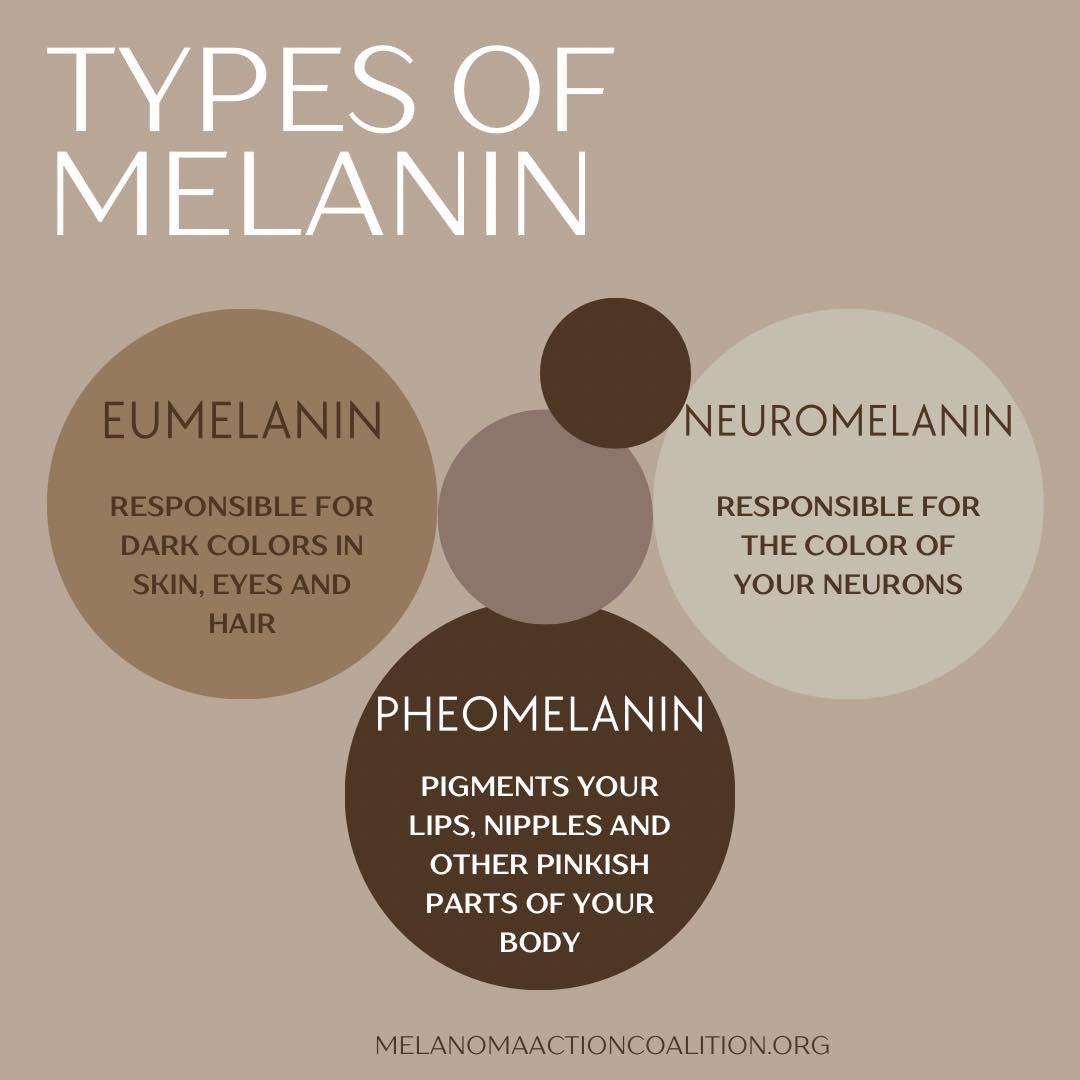 The essential molecule your body is lacking: Melanin. Its role in ...