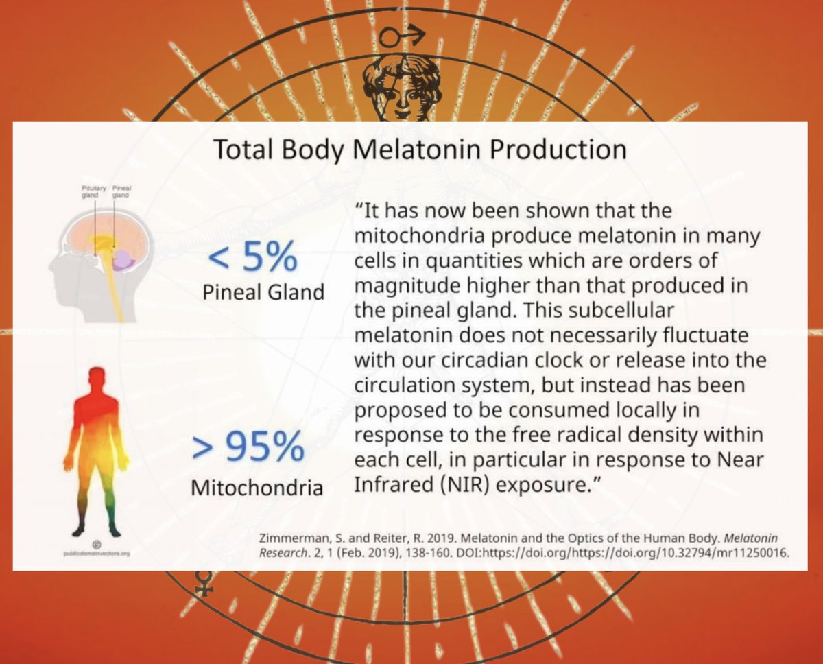 The essential molecule your body is lacking: Melanin. Its role in ...
