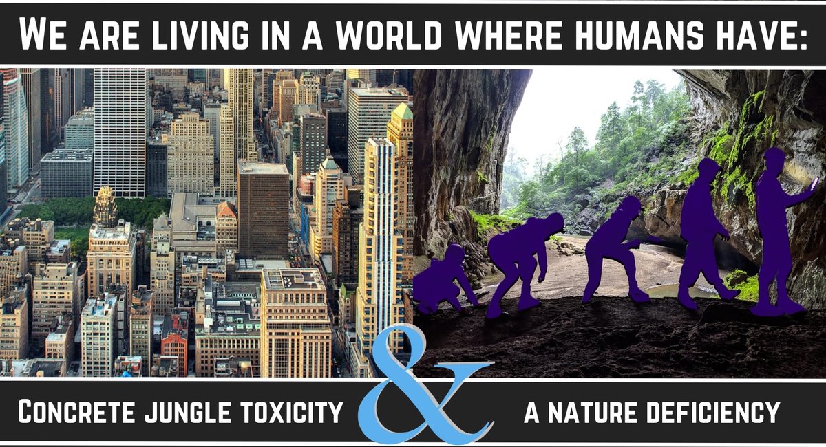 The essential molecule your body is lacking: Melanin. Its role in ...