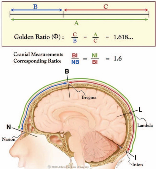Thread by @ClassicalAegis on Thread Reader App – Thread Reader App