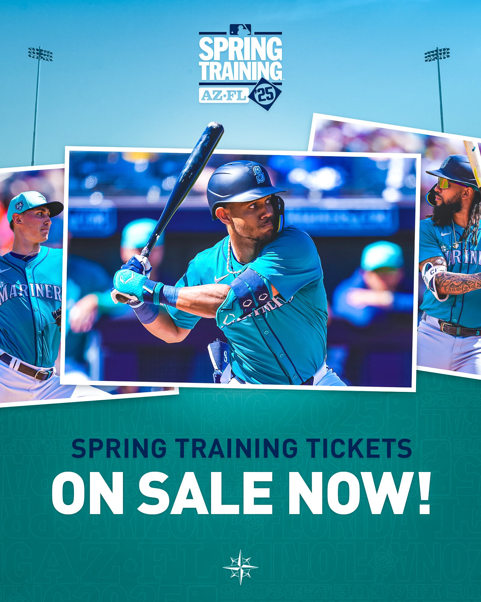 Spring training tickets store