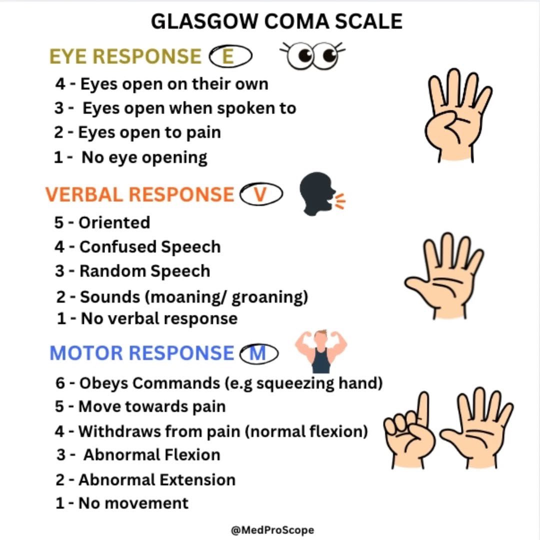Glasgow Coma Scale Gcs GCS Assessment Information Sheet | PDF
