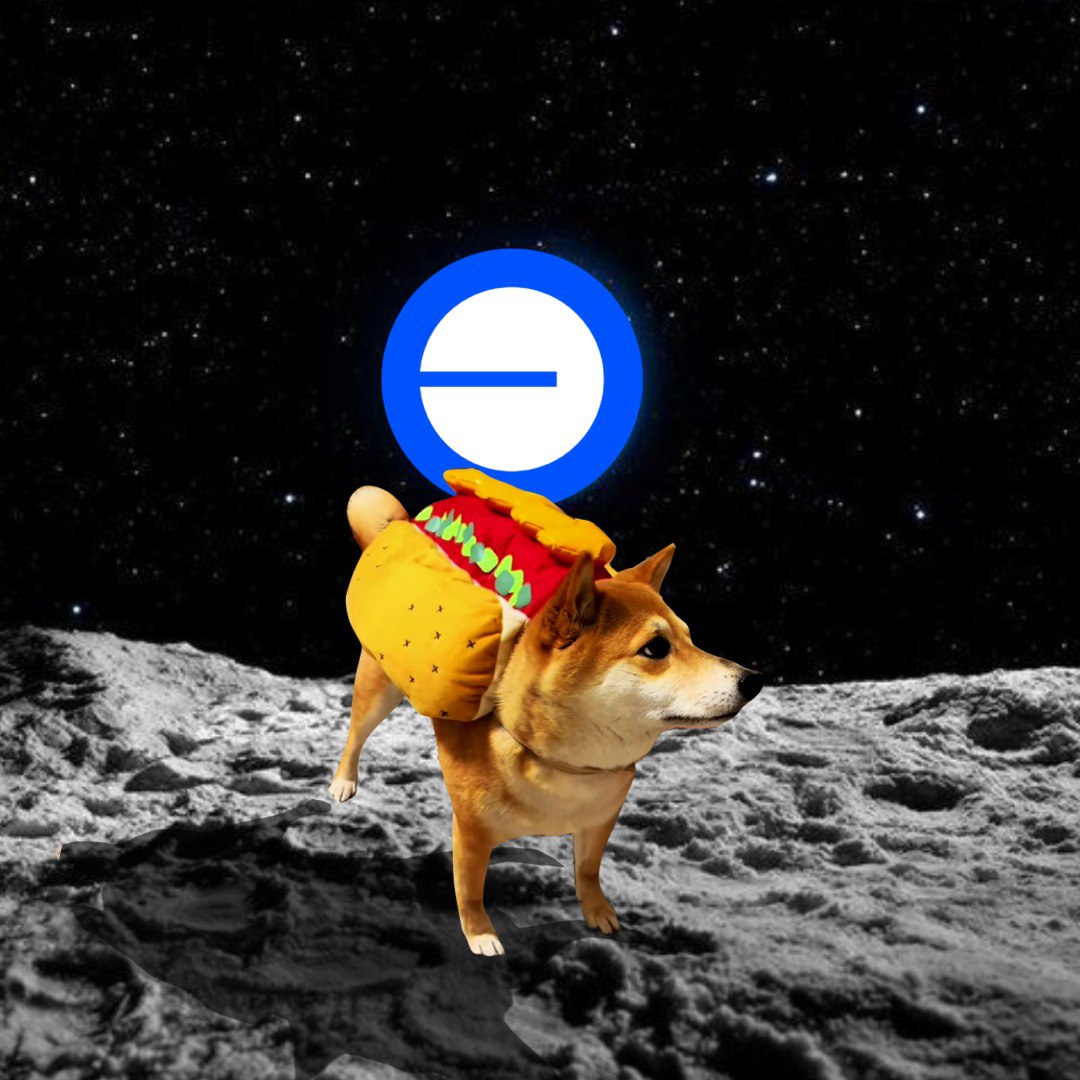 Doge Wallpaper Meme As Taco