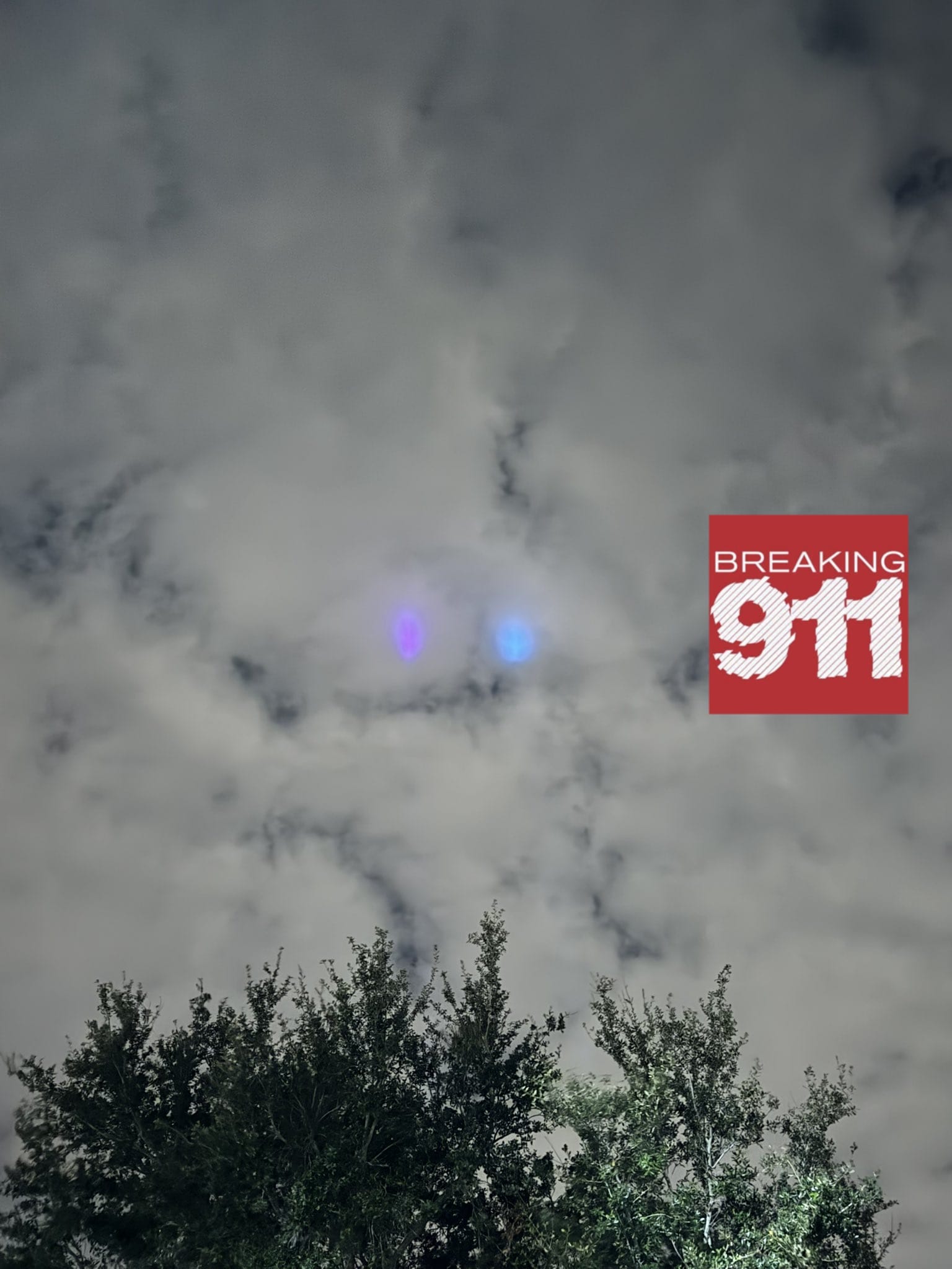 Pbs Weird Florida Weird Florida Just Got Weirder! | WLRN