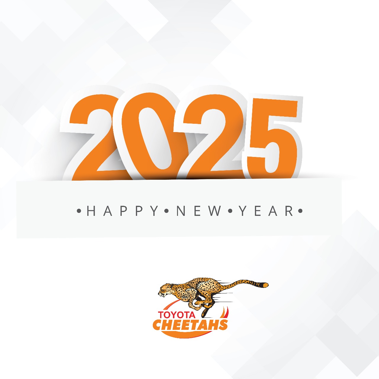 Toyota Cheetahs Logo