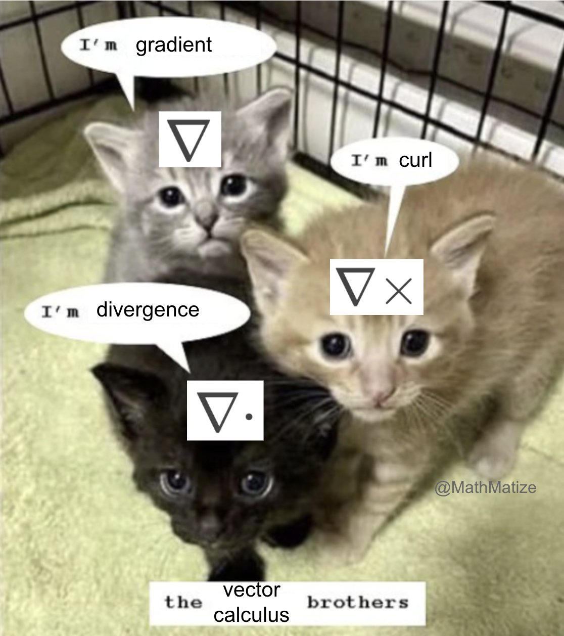 Meme Calcalas This Calculus Meme