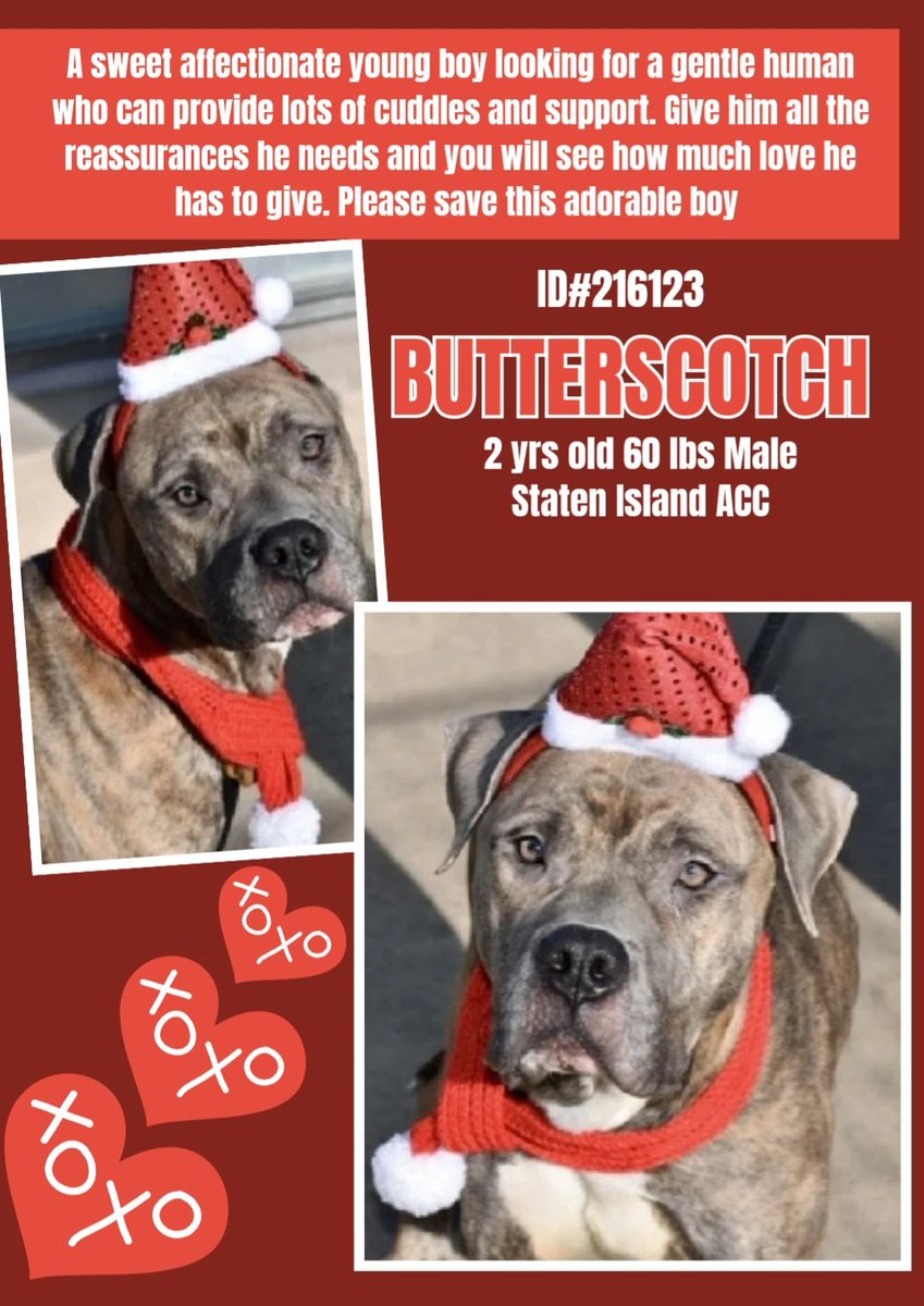 Butterscotch Meme