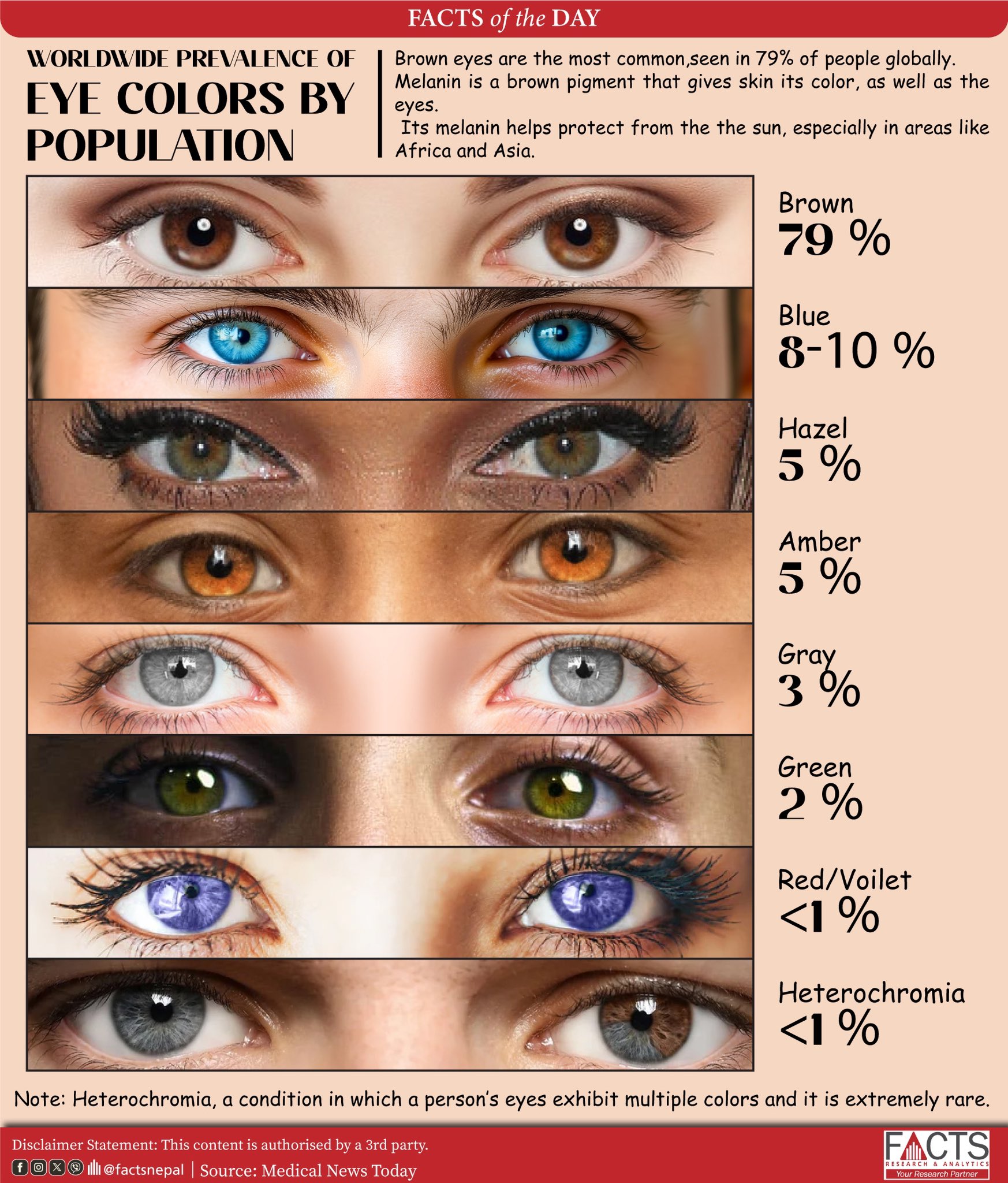 Brown Eye Color Chart