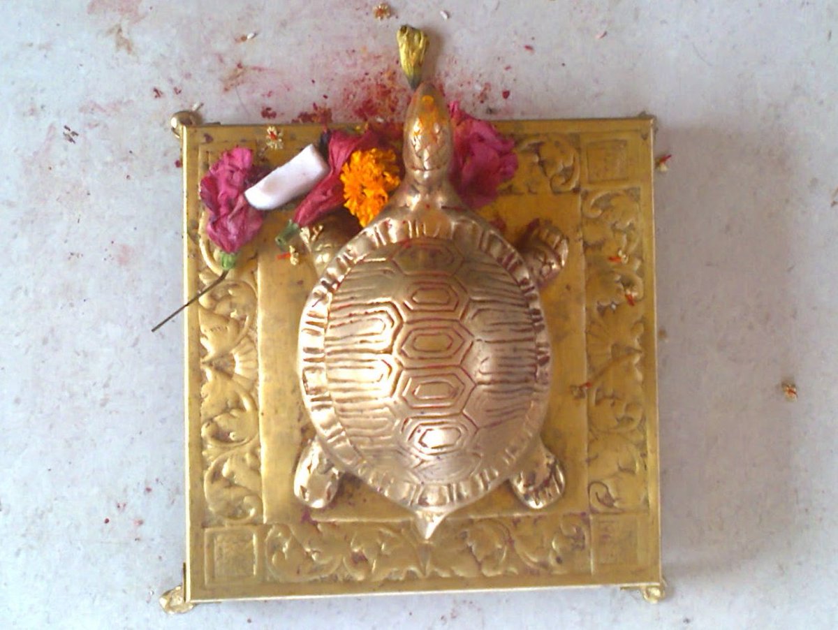 Do you know Why is there a tortoise outside the entrance of God's ...