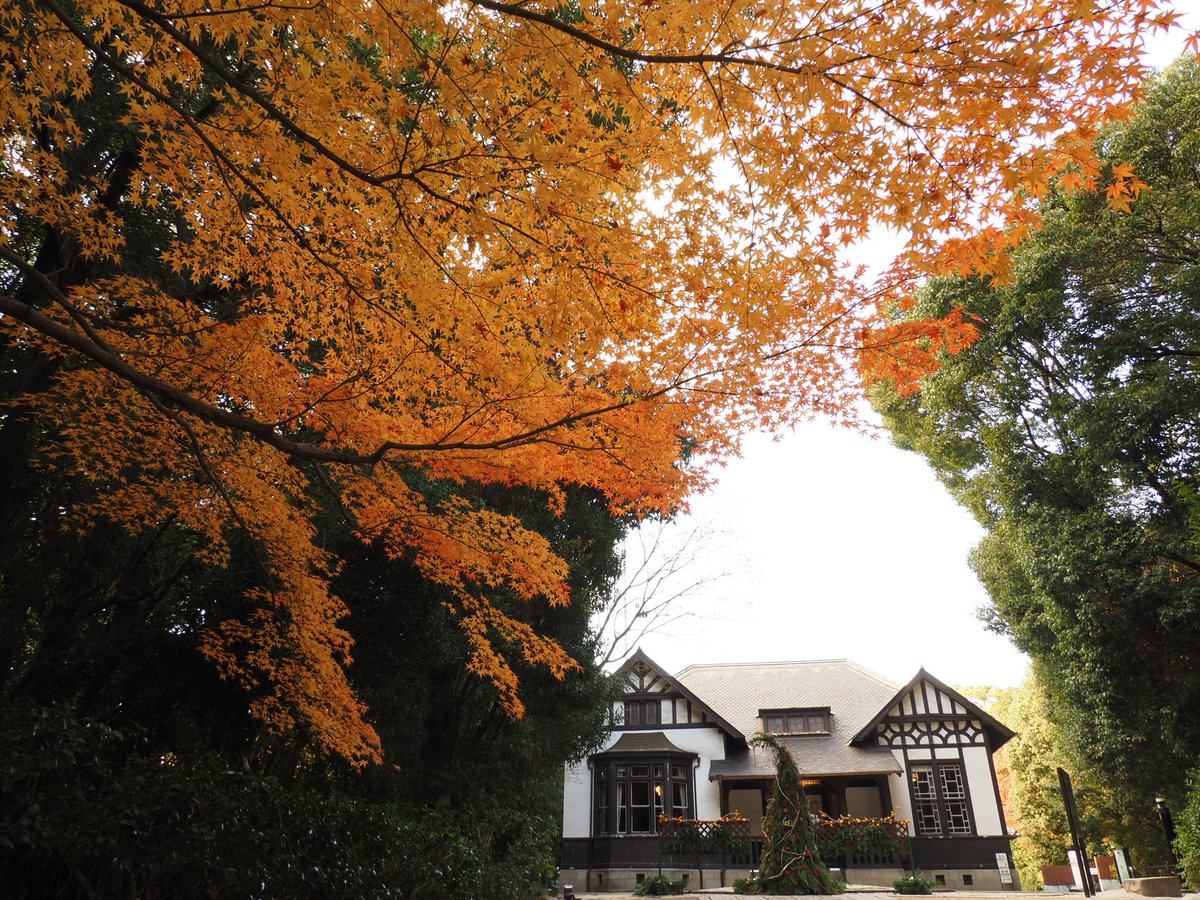 うわらば(@uwaraba_37564) - Twilog (ツイログ)