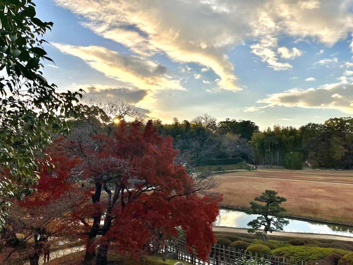 残骸(@PETRICHO_13) - Twilog (ツイログ)