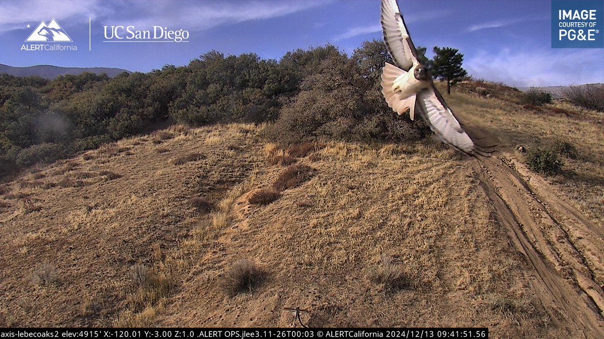 Home - ALERTCalifornia