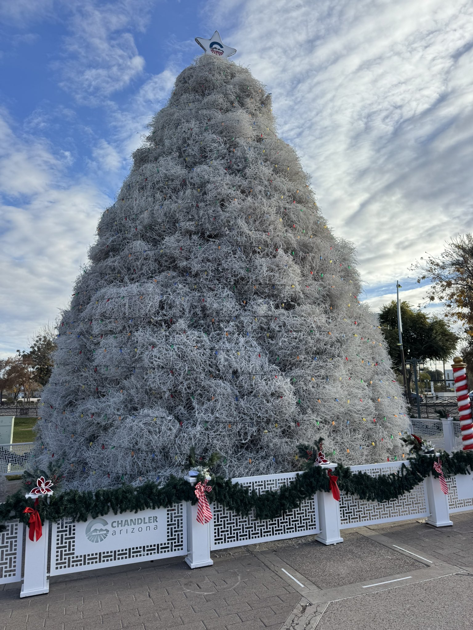 Tumbleweed Christmas Tree Amazon.com: I Believe In Tumbleweed