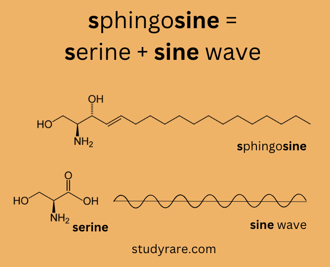 Sphingosine Structure Solved A Sphingosine Structure Is: HN He CH HC N