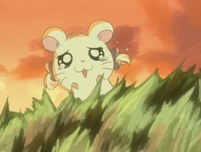 Hamtaro Sandy Og Maxwell