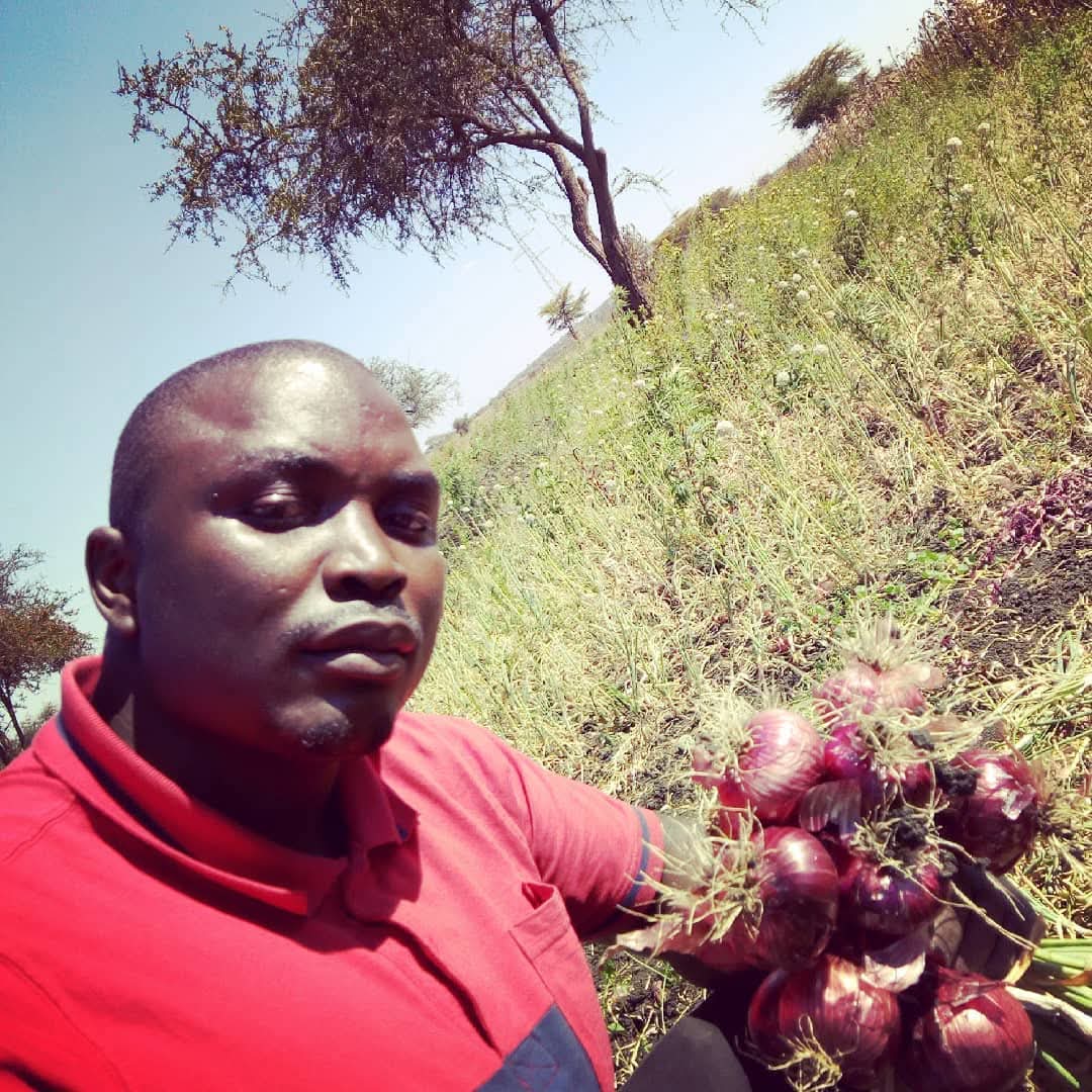 Ngoja nikusanue kabla mwaka haujaisha. Kama unadhani ukijiajiri utakuwa ...