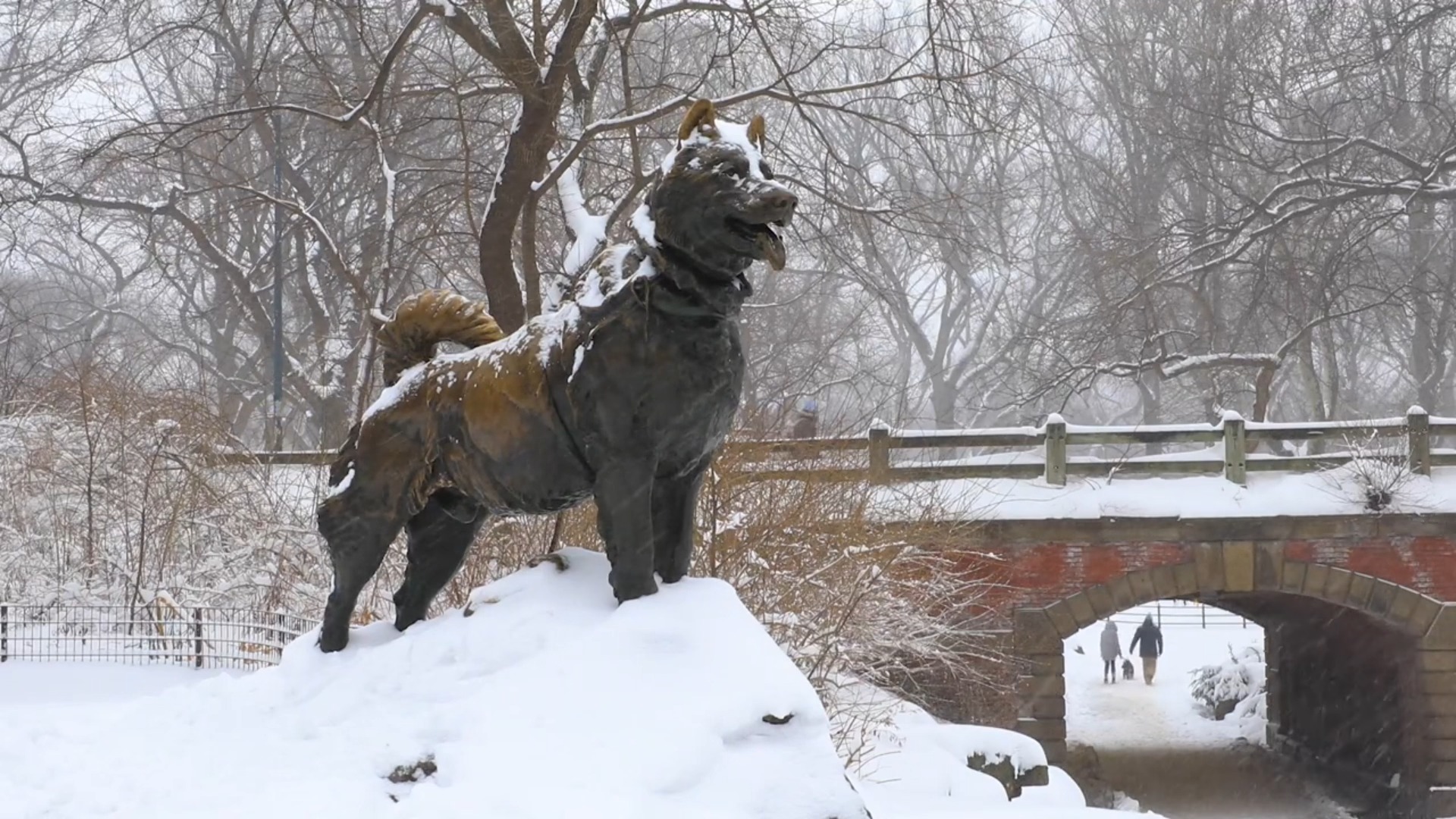 Balto Statue New York Central Park Balto Dog Sculpture Stock Photo,
