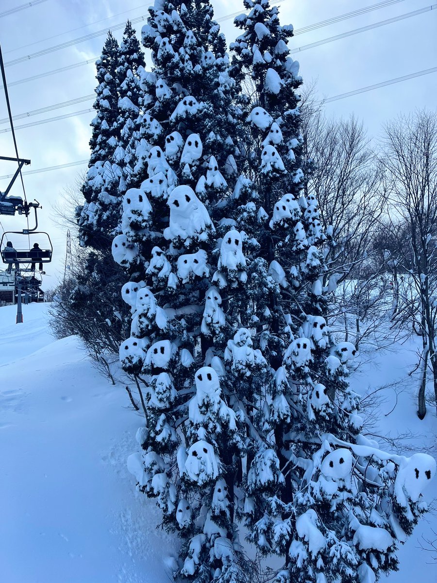 よいだ(@Yoida_3) - Twilog (ツイログ)