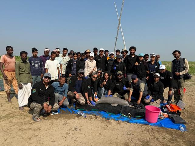 India Marks Historic Milestone with First-Ever Tagging of Ganges River Dolphin in Assam, Funded ...