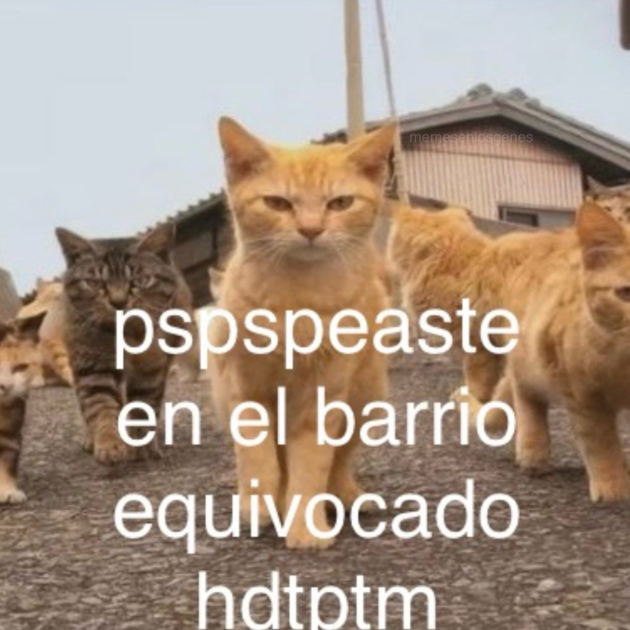 Memes De Equivocado Meme Creator Funny Cuéntame Que Te Pasa? Envié
