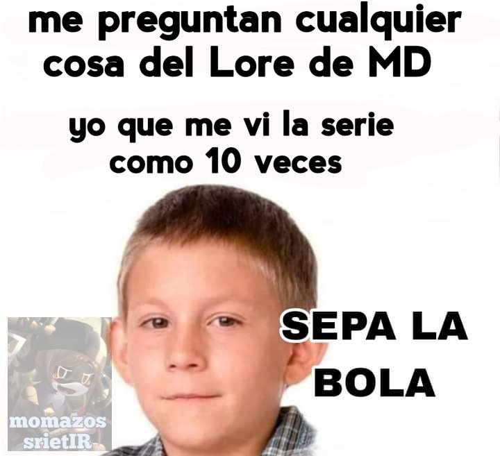 Sepa La Bola Memes Gatos Peludos: Conheça As Raças E Cuidados Com