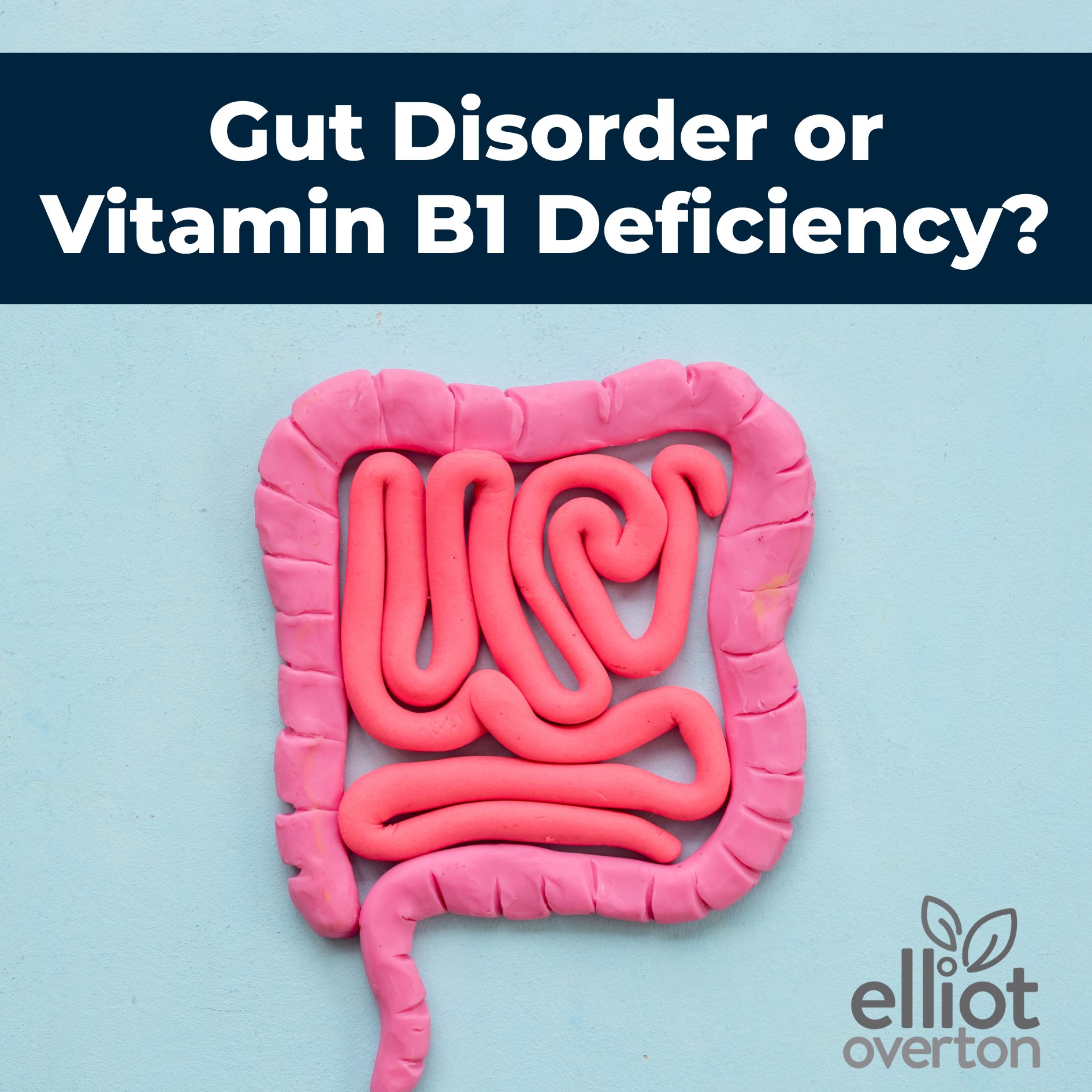Vitamin B1 Deficiency Brain Structure Harmed By Vitamin B1 Deficiency