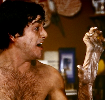 Dominique Riddle's Instagram, Twitter & Facebook on IDCrawl