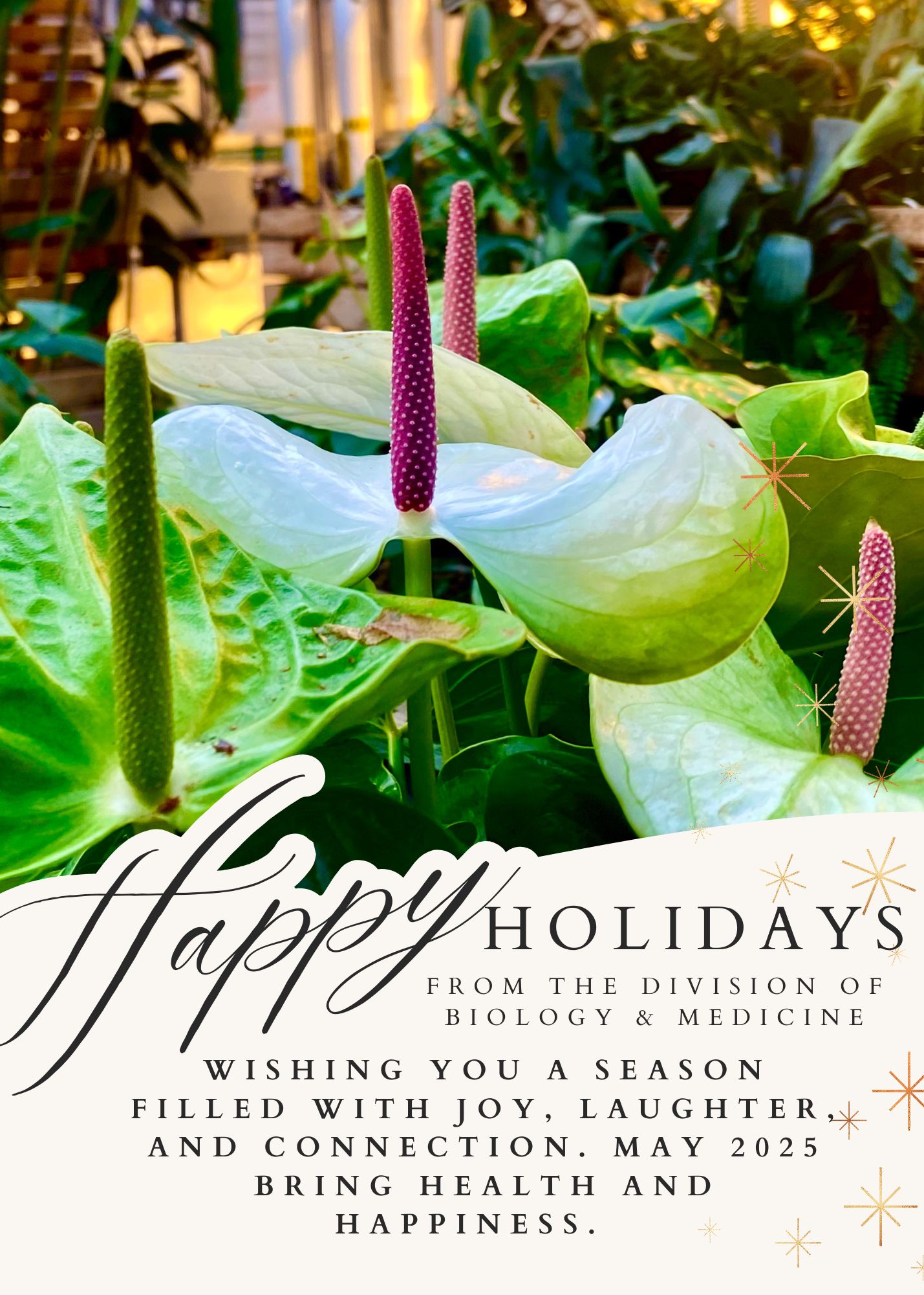 Plant Biology Quotes 15 Inspirational Quotes On The Environment