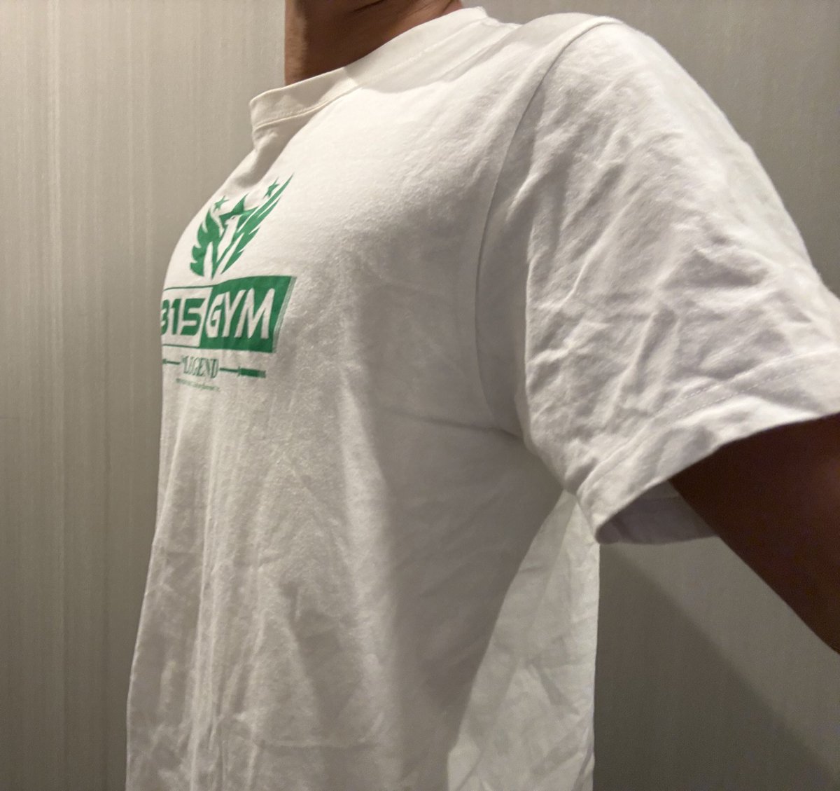 じゅん＠審神者ファイターマネージャーP(@junjun_wt) - Twilog (ツイログ)