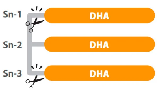 Do you need to take omega-3 supplements if you eat adequate amounts of ...